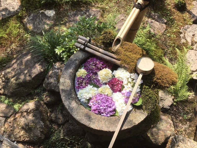 習い事なら、JEUGIA カルチャーセンター