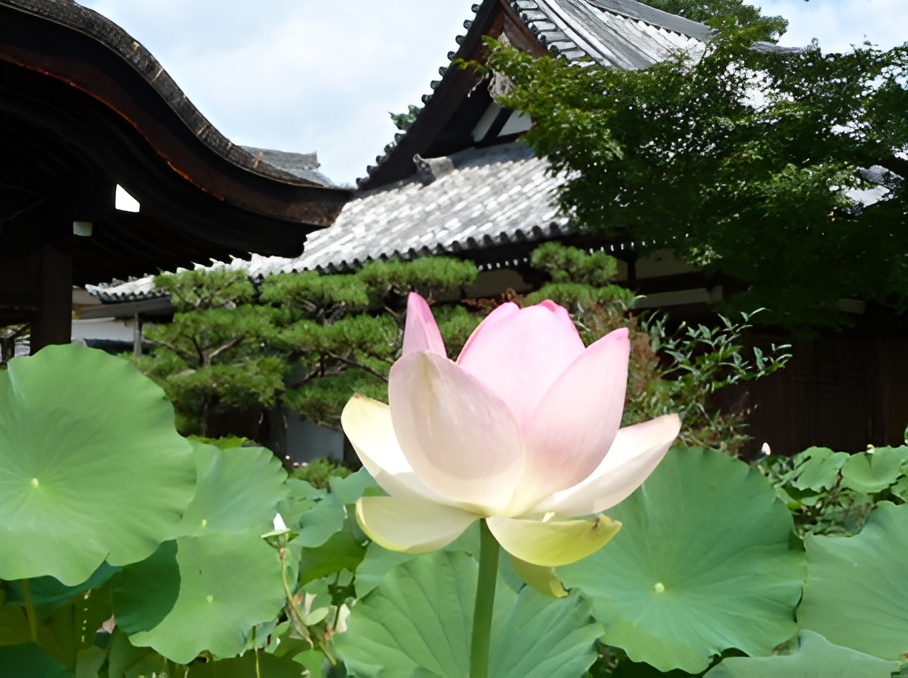 習い事なら、JEUGIA カルチャーセンター