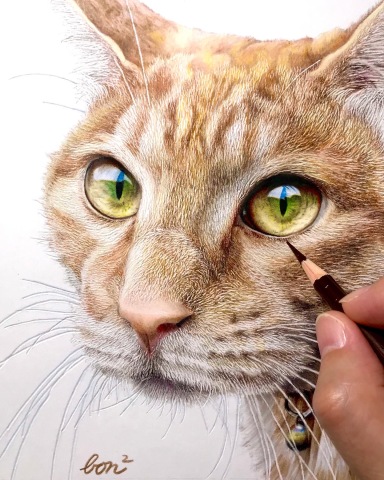 "まるで写真"の絵が描ける！大人の色鉛筆画教室｜滋賀県で習い事なら、JEUGIAカルチャーセンター大津テラス（滋賀｜大津市｜打出浜）